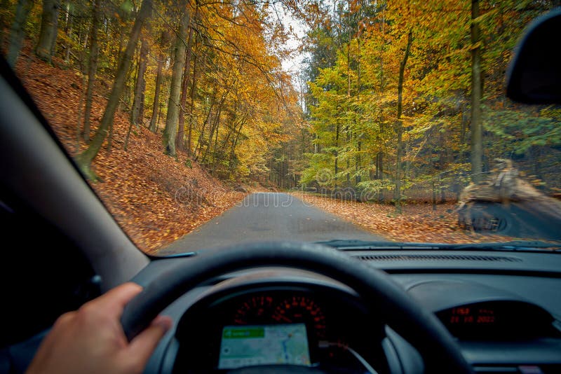 Driving Car in Autumn Forest, View from Inside Stock Photo - Image of ...