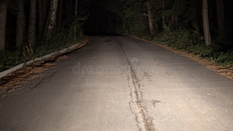 Driving on a Countryside Road at Night Stock Image - Image of rural ...