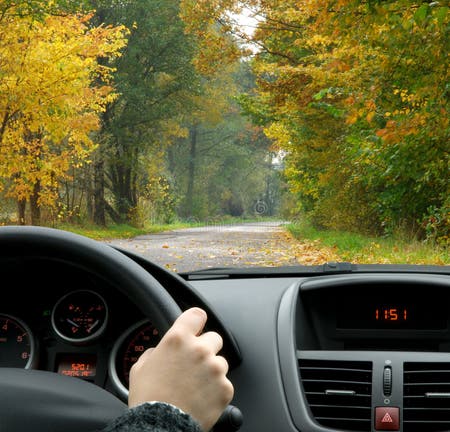 Driving in fall stock image. Image of fall, road, driving - 14280323