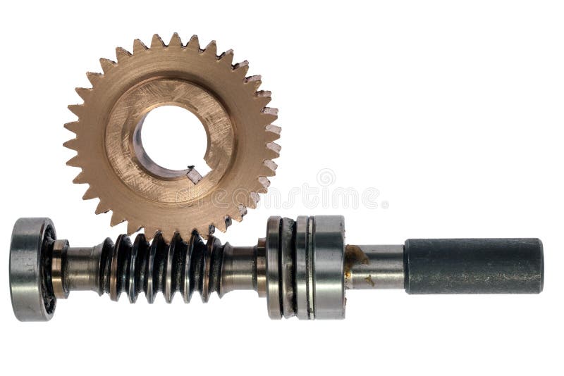 Driving gear stock photo. Image of bevel, integral, pair - 33481462