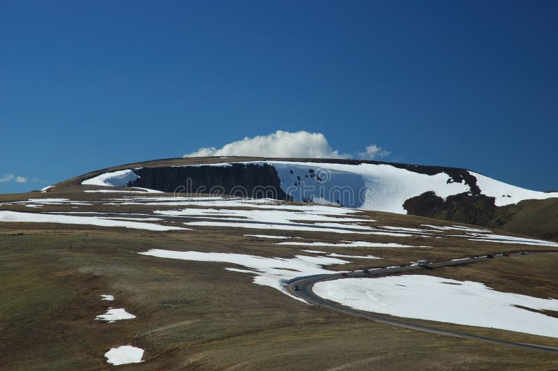 102 3 Plants Mmespelagic Zone Stock Photos - Free & Royalty-Free Stock ...