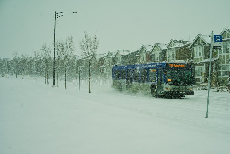 Driving in the Snow Edmonton Transit System Bus on the Move in West ...