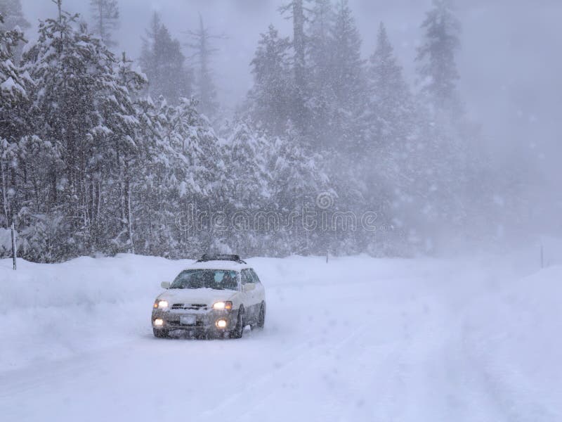 Driving in snowstorm. stock photo. Image of forest, travel - 105568162