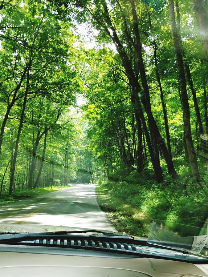 Driving on tree lined road stock photo. Image of lexington - 128456008