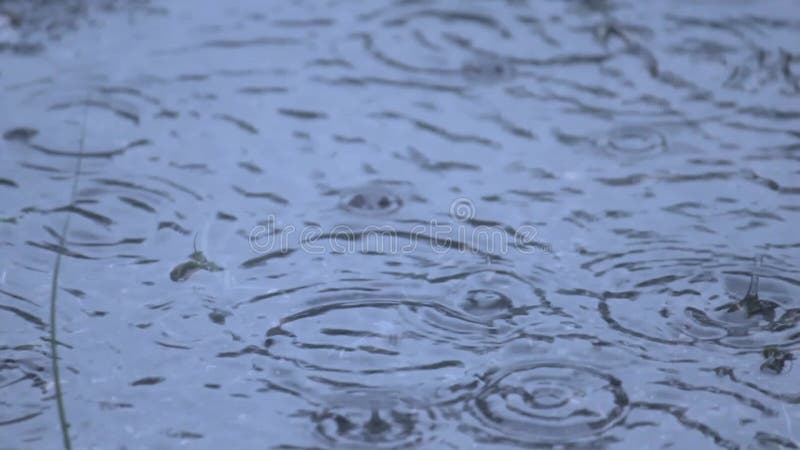 Raindrops on a Puddle during a Drizzle in the Afternoon Stock Footage ...