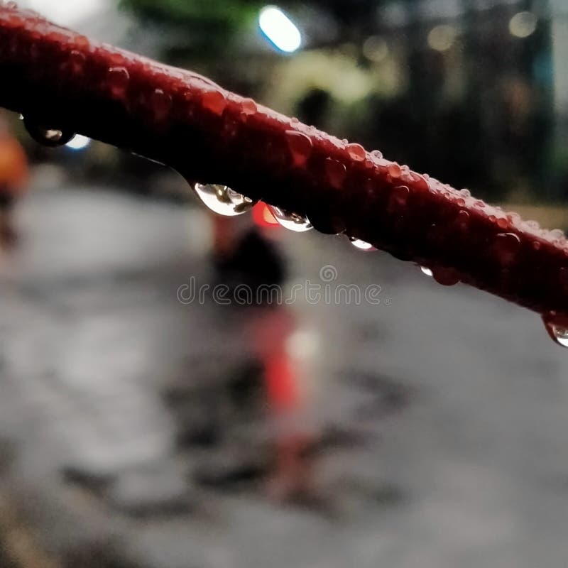 Drizzle in the afternoon stock image. Image of rain - 278580411