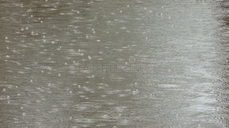Drizzle on cloudy day stock video. Video of abstract - 348037049