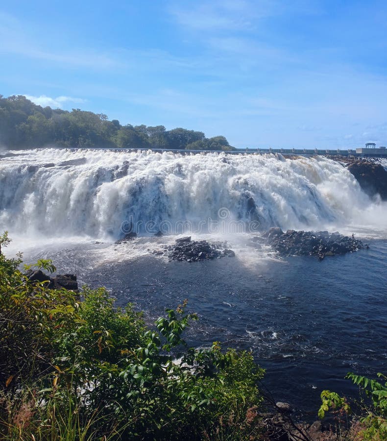 The drizzle jumped stock image. Image of jump, coast - 356489345
