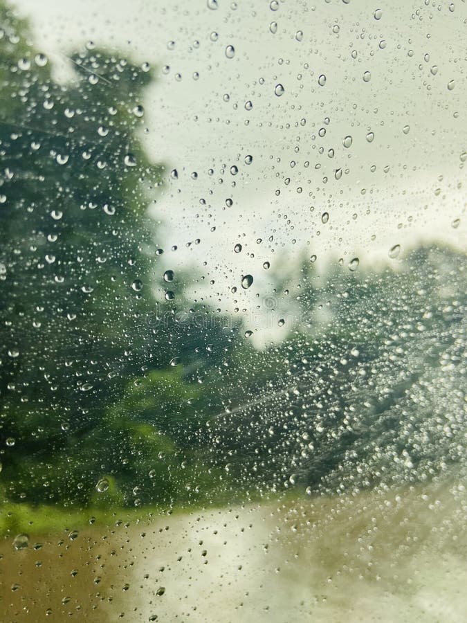 Scenes Drizzling Rain Greeen Peace Stock Photo - Image of rain, peace ...