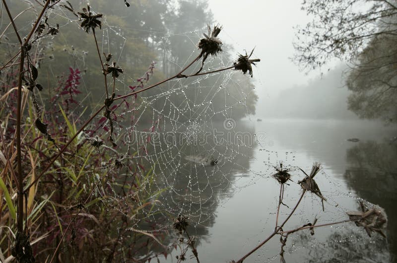 Drizzly weather stock image. Image of bank, calm, atmosphere - 27254673