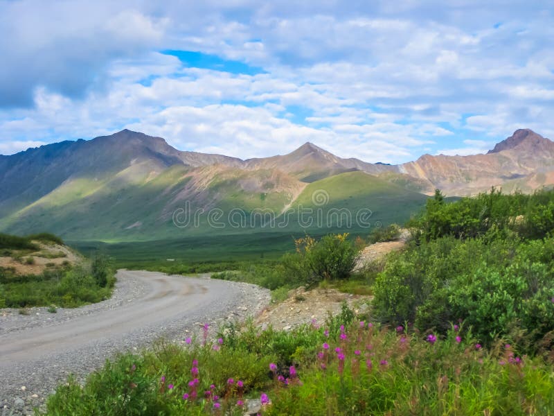 Droga Denali zdjęcie stock. Obraz złożonej z pilot, sceneria - 42394172