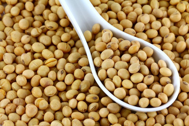 Droge Sojabonen (Sojabonen) Stock Afbeelding - Image of bonen, voeding ...