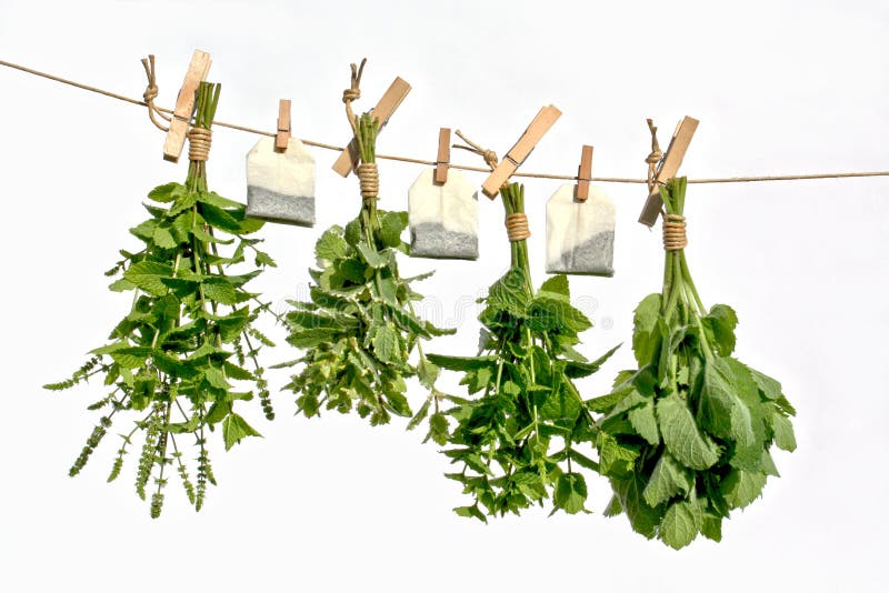Kruiden op waslijn stock foto. Image of verschillend - 10188552