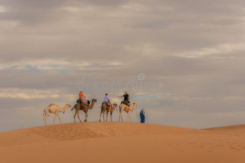 Dromedary Caravan on the Move in the Sahara Editorial Photo - Image of ...