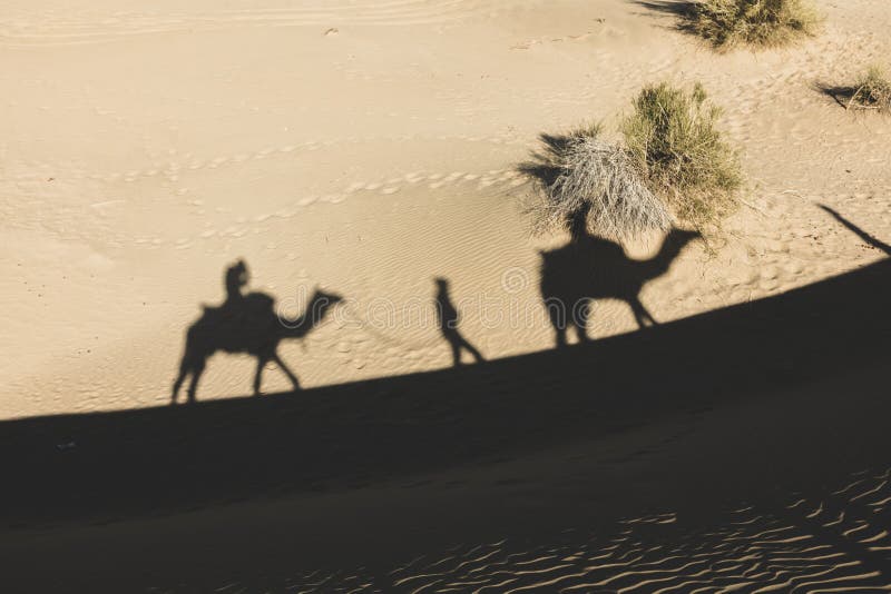 Dromedary Shadow in the Desert of Thar Stock Image - Image of jaisalmer ...
