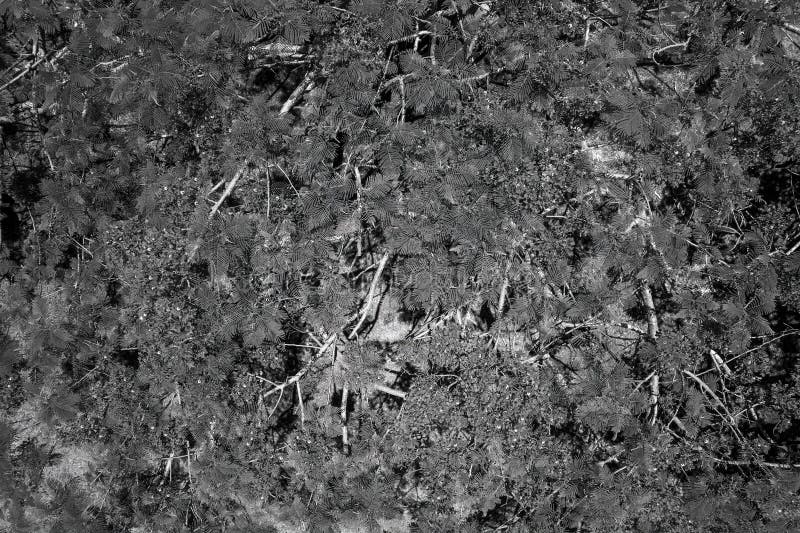 Top Down View of Rippling Water in Rural Creek Stock Image - Image of ...