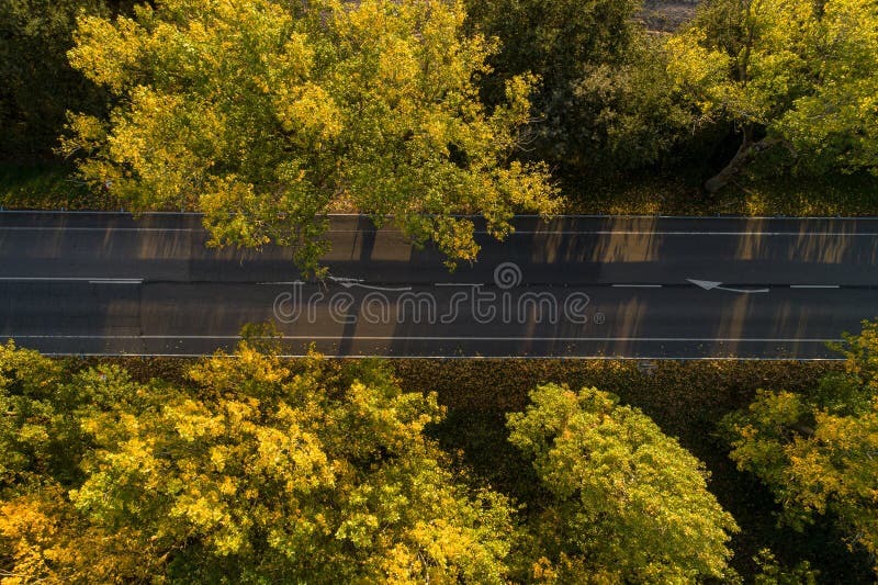 Drone Aerial View of a Road through Trees at Sunset Stock Photo - Image ...