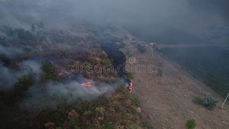 A Drone Captures Flames Devouring Forests and Fields, with Thick Smoke ...