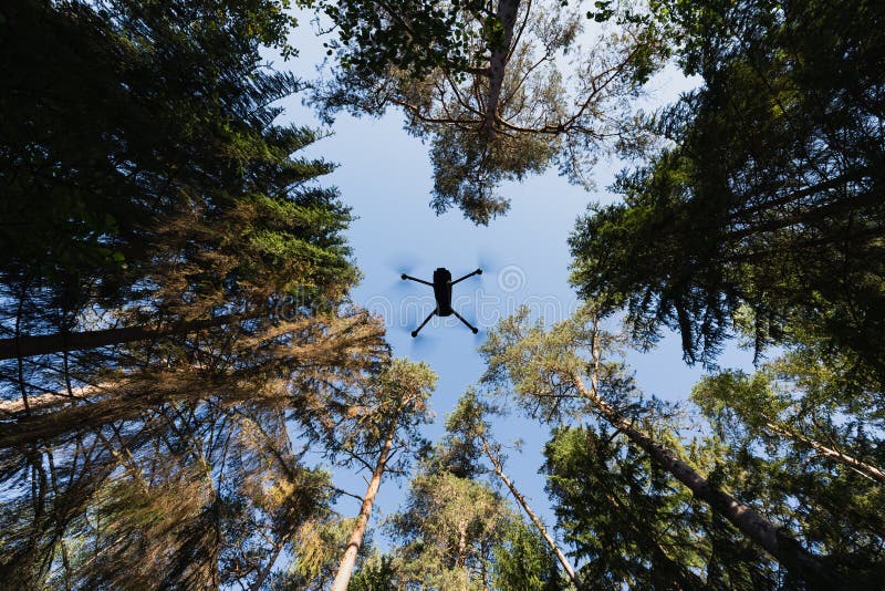 Drone Flies Over a Green Field and Sprays Useful Pesticides. Stock ...