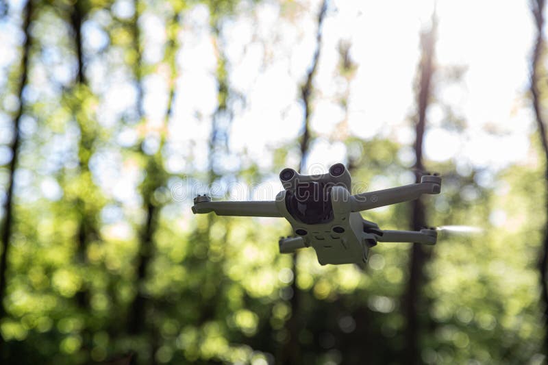 A Drone Flies through a Sunlit Forest, Capturing the Beauty of Nature Stock Image - Image of ...