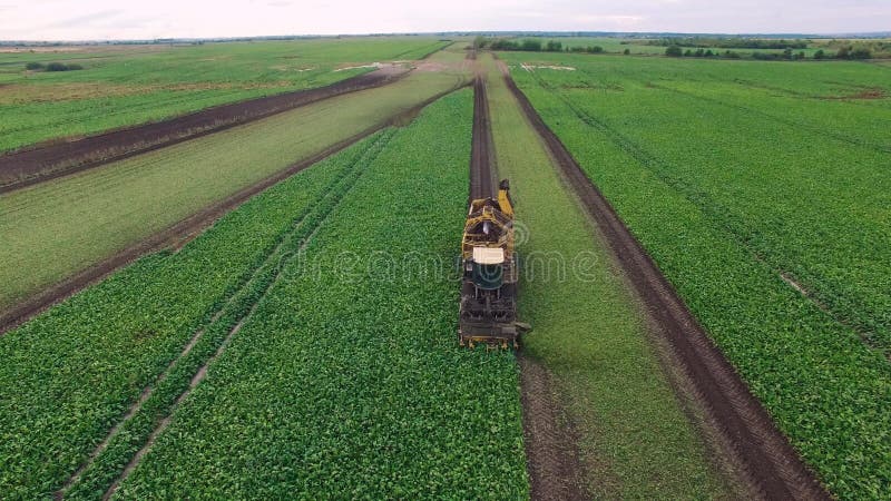 Drone Flight Aerial Bird Eye View of Tractor Blue Sky in the Background ...