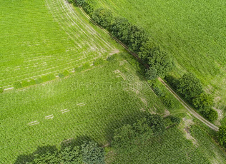 12,113 Aerial View Corn Field Stock Photos - Free & Royalty-Free Stock ...