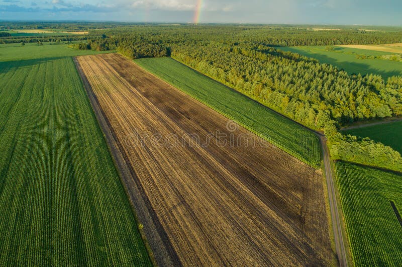 Drone Flight and Aerial View Over a Corn Field Stock Photo - Image of ... Drone Flight and Aerial View Over a Corn Field Stock Photo - Image of ...