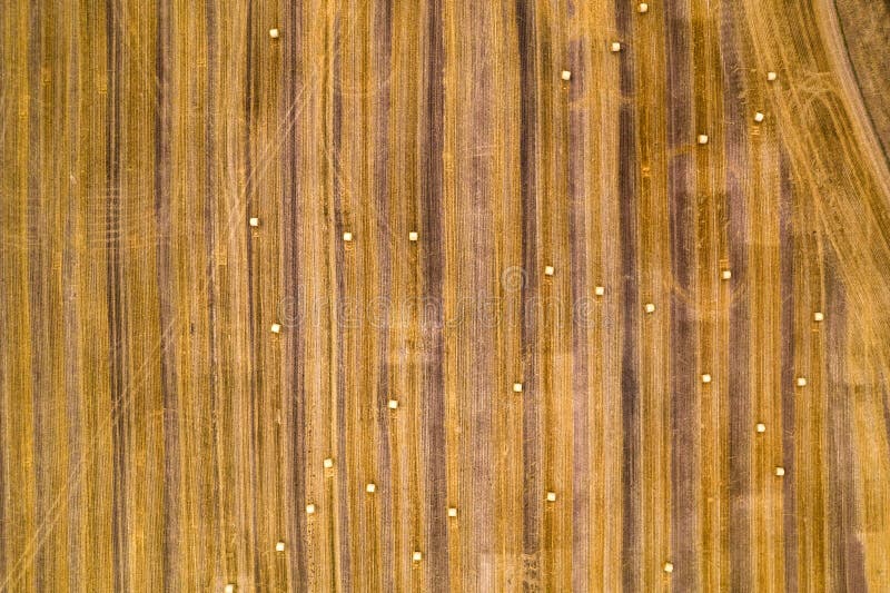 Drone Flight Over a Harvested Grain Field with Straw Bales. Stock Photo ... Drone Flight Over a Harvested Grain Field with Straw Bales. Stock Photo ...
