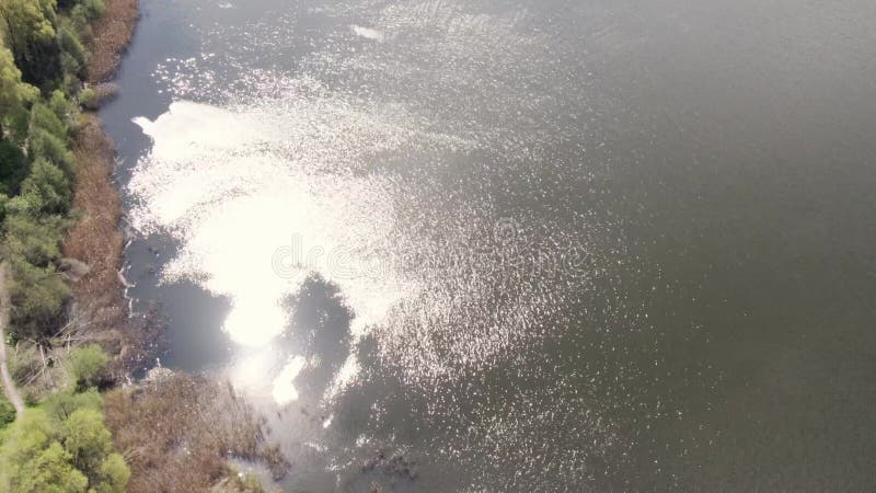 Drone Flight with a View of the Lake Stock Video - Video of environment ...