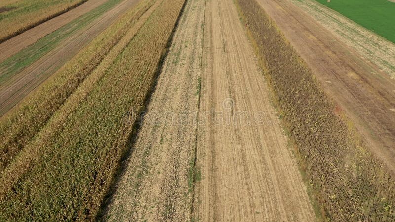 Drone Flying Above Agriculture Field. Aerial View Stock Video - Video ... Drone Flying Above Agriculture Field. Aerial View Stock Video - Video ...
