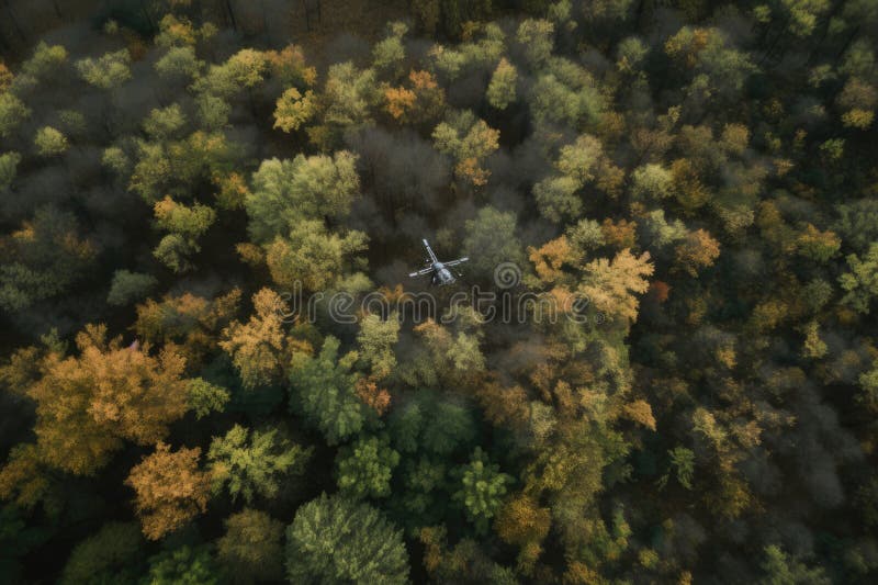 Drone Flying Above Forest Canopy, with Clear View of the Trees Stock ...