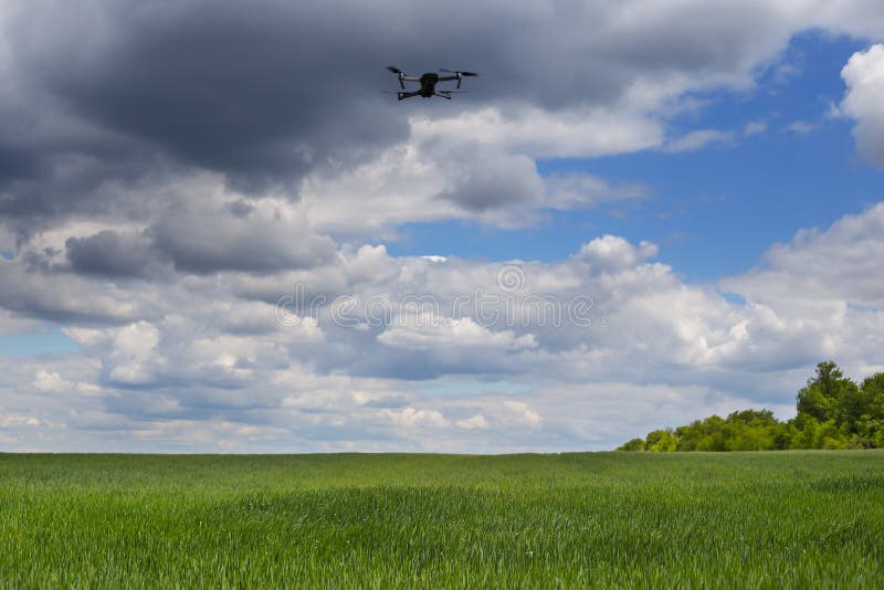 Drone Flying Above a Green Rural Fields Stock Photo - Image of drone ...
