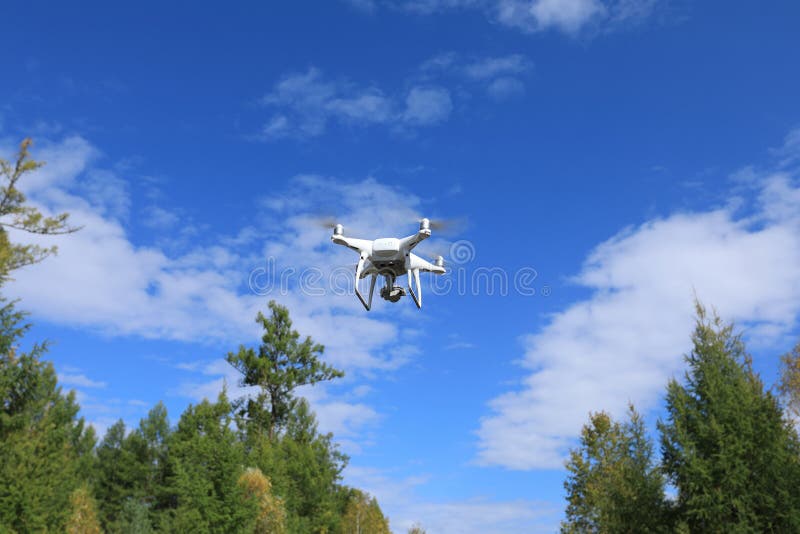 Drone flying in forest stock image. Image of forest - 105429853