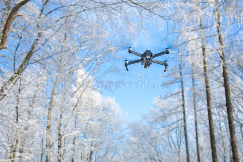 Drone in forest flying stock image. Image of make, video - 153508843