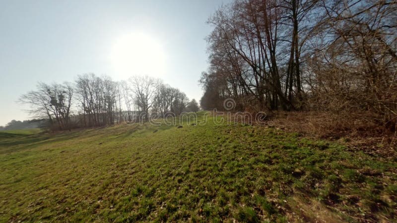 Drone Flying by Path and Over Lawn, Fpv Copter Shoot Stock Video ...