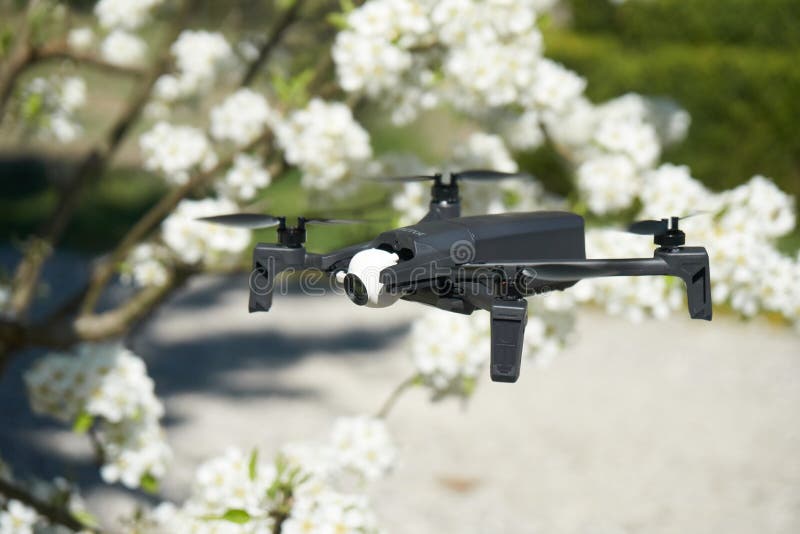 Drone Flying in a Pear Tree in the Bloom Stock Image - Image of bluesky ...