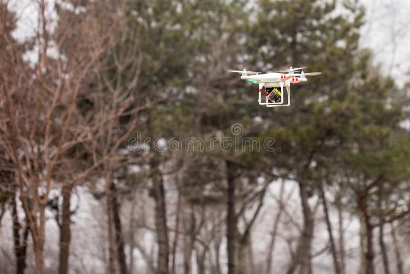 Drone Flying through the Trees Stock Photo - Image of industries ...