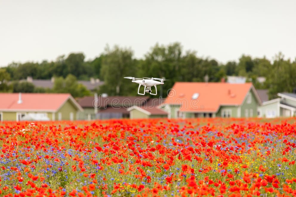 Drone stock image. Image of flower, field, europe, quadrocopter - 96904193
