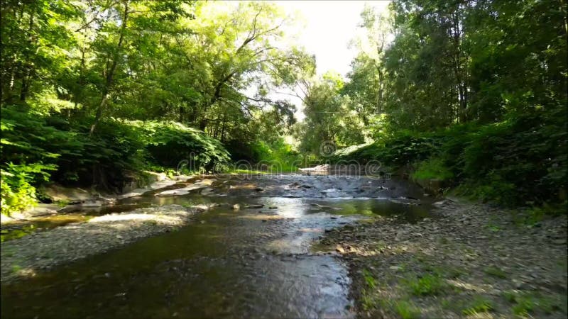 Drone Flying on Water Stream between Green Trees in a Beautiful Park ...