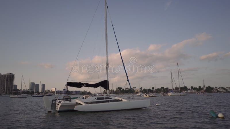 Drone Hovering Around the Harbor in Miami during Sunset Stock Video ...