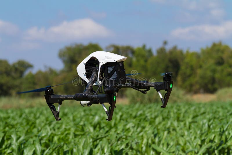 Drone Hovering Low Over Green Plantation Stock Photo - Image of ...