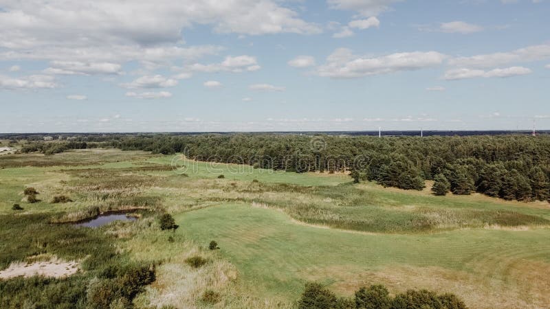 Drone Image. Field View from Above with Forest Sea Shore. Green and ...