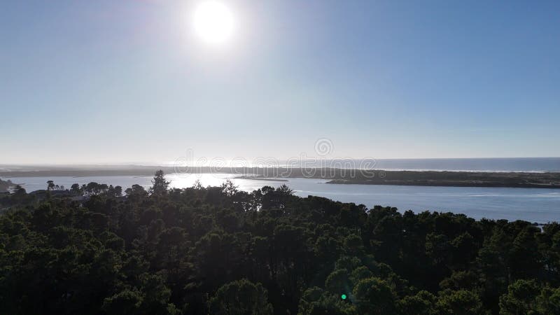 Drone Landscape View of Lush, Forested Shore in Front of a Serene ...