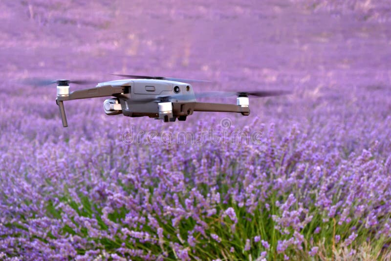 14,629 Drone Flower Stock Photos - Free & Royalty-Free Stock Photos ...