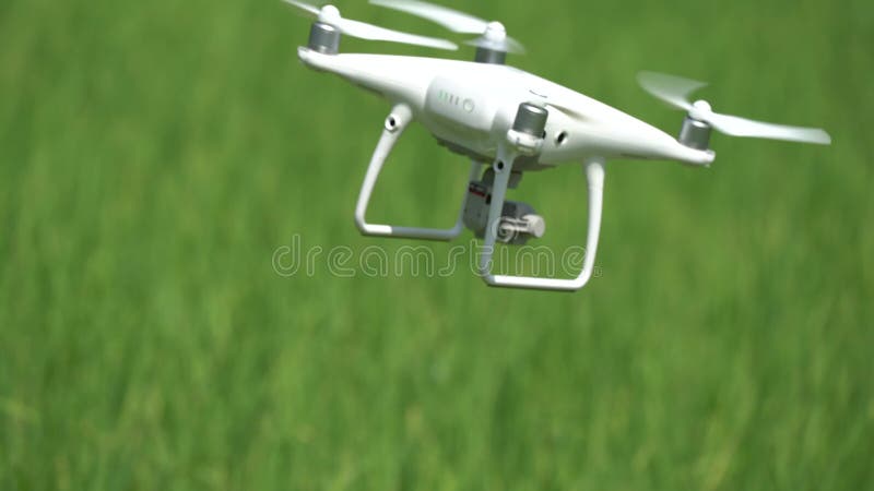 Drone over Rice Field stock footage. Video of aircraft - 351310522