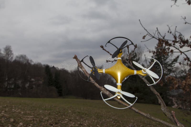 Drone Quadcopter Crashed on Tree in City Park Stock Image - Image of ...