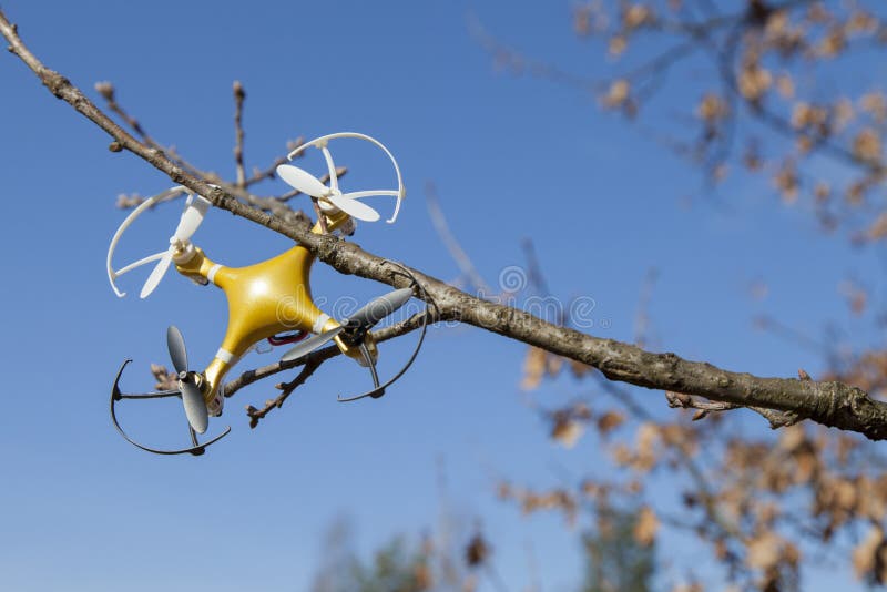 Drone Quadcopter Crashed on Tree in City Park Stock Image - Image of ...