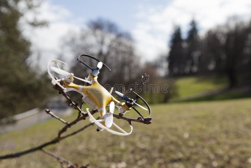 Drone Quadcopter Crashed on Tree in City Park Stock Photo - Image of ...