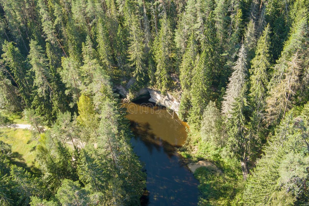 Drone Shot of the Ahja River Flowing through a Forest in Taevaskoja ...