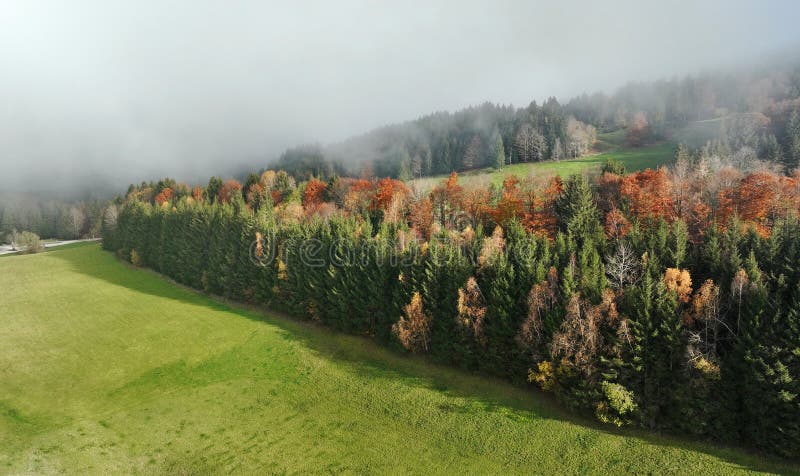 Drone Shot of a Forest in Fall with Fog in the Mountains Stock Photo ...